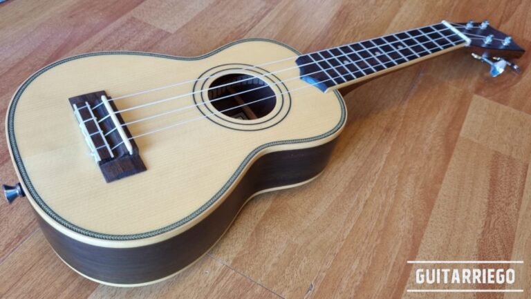 Parts of the Ukulele: importance and functions