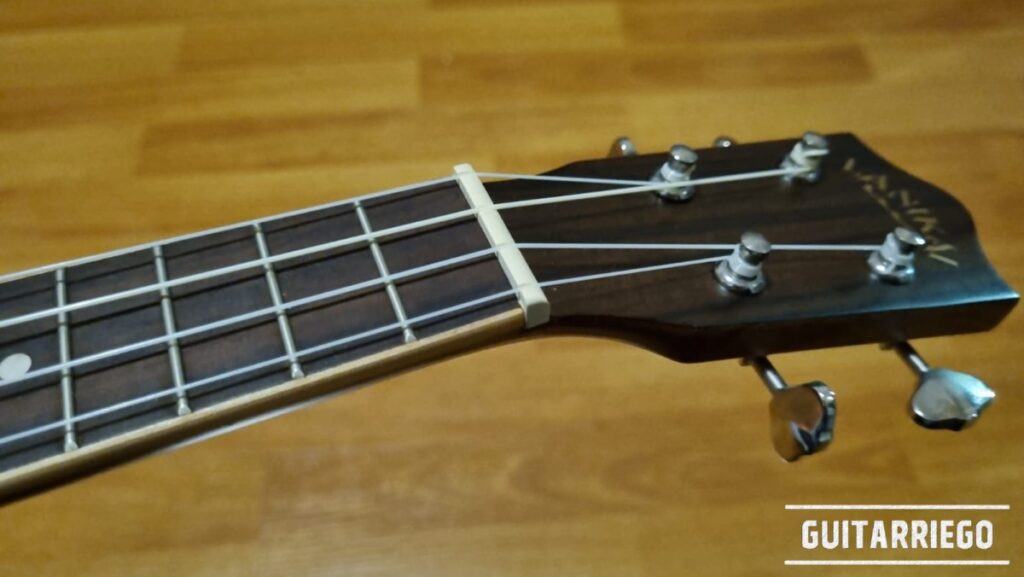 Parts of the Ukulele: importance and functions
