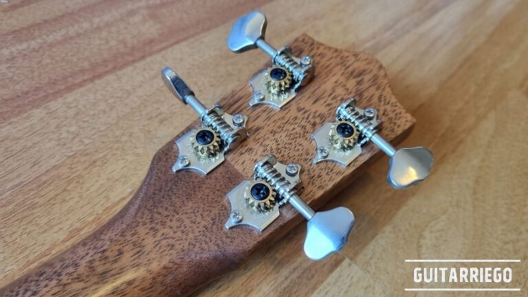 Parts of the Ukulele: importance and functions
